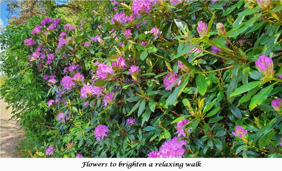 Visit Settle - Tranquillity